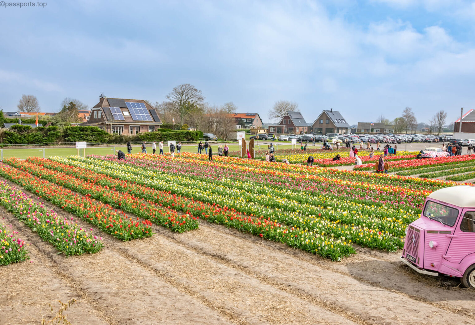 A Journey Through the Tulip Country - Top Passports