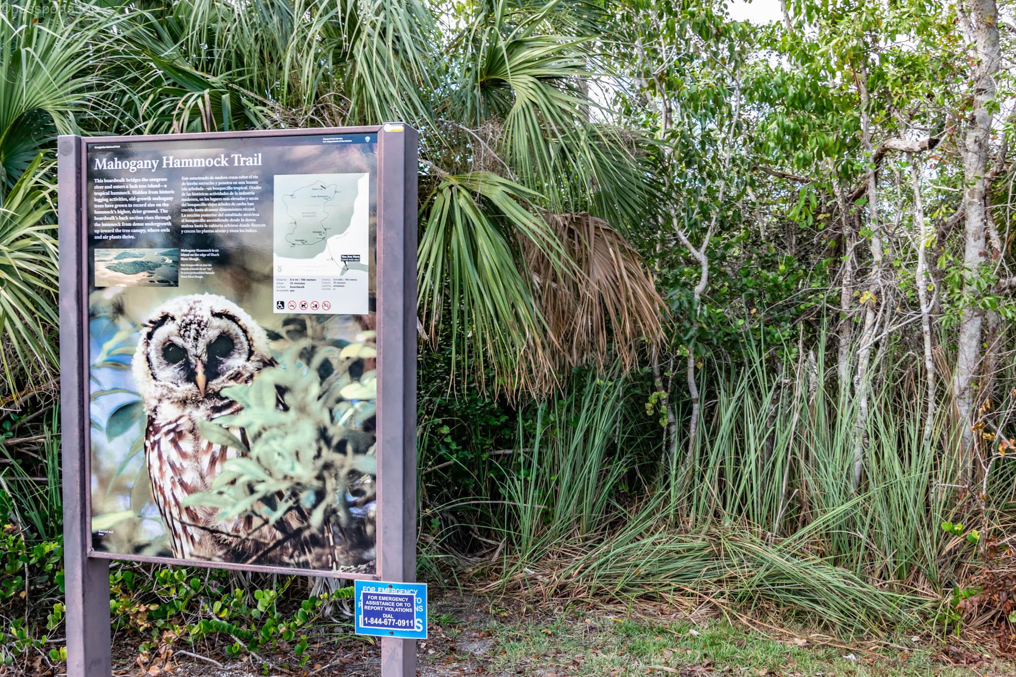 Parcul Național Everglades, Florida | Passports.top