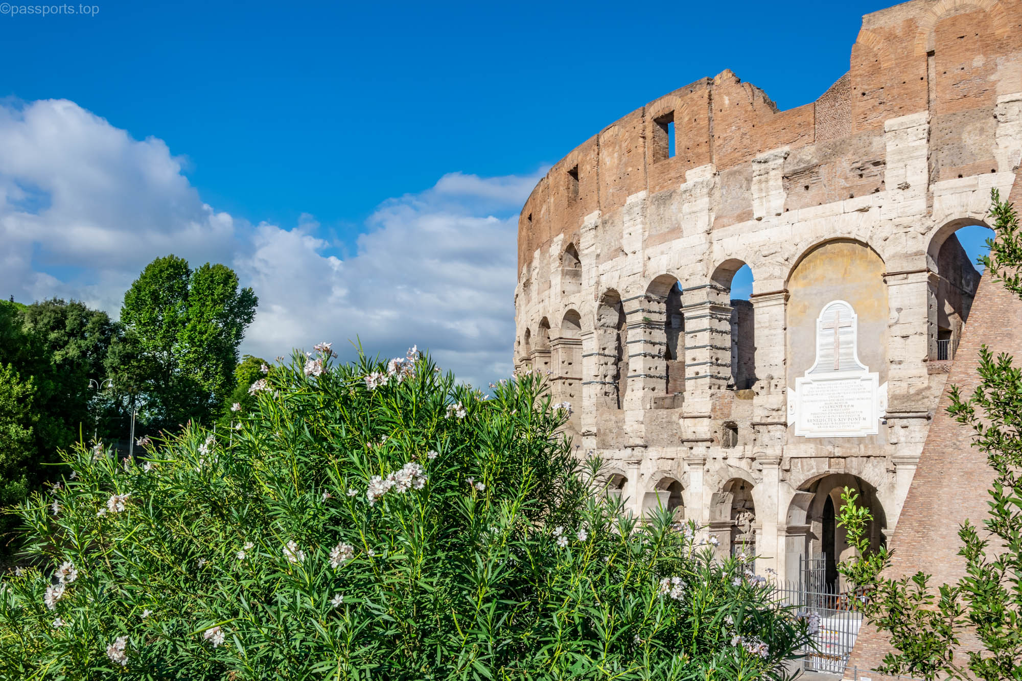 Colosseumul, Forumul Roman și Dealul Palatin- Top Passports